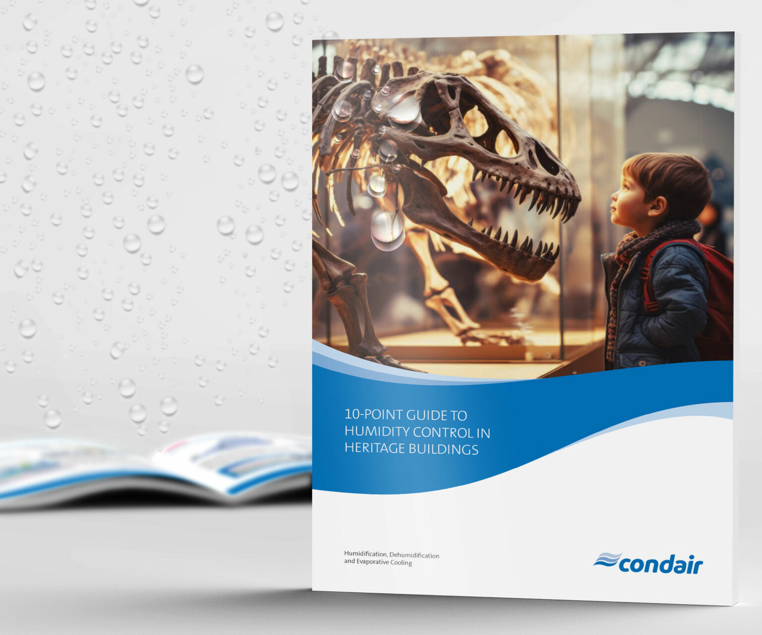 10-Point Guide To Heritage Humidity Control - BusinessNet Explorer